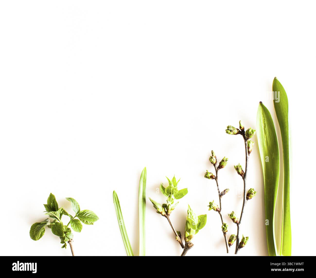 Flat lay picture frame Cut Out Stock Images & Pictures - Alamy