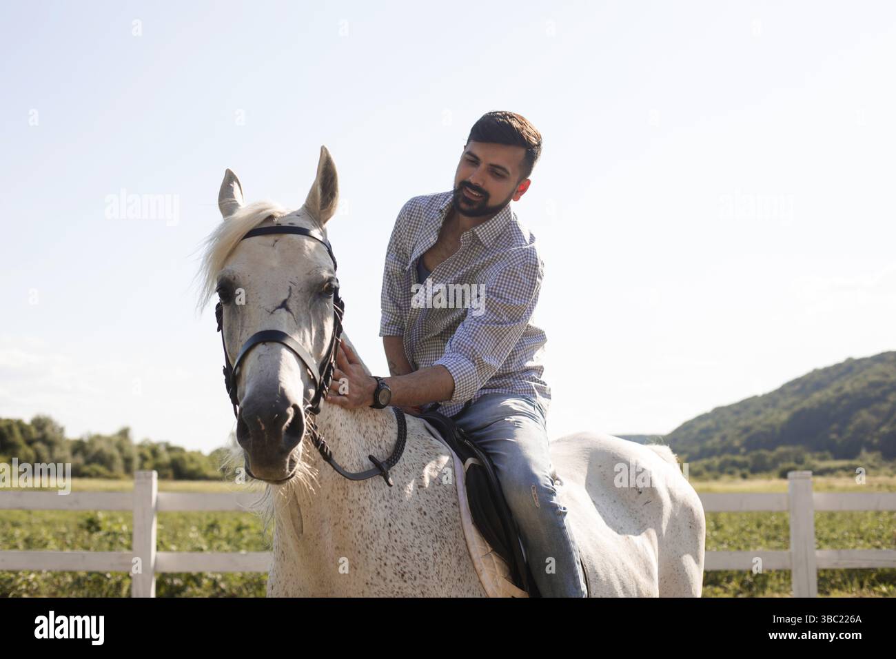 The handsome bearded man rides a white horse on the ranch. The man ...