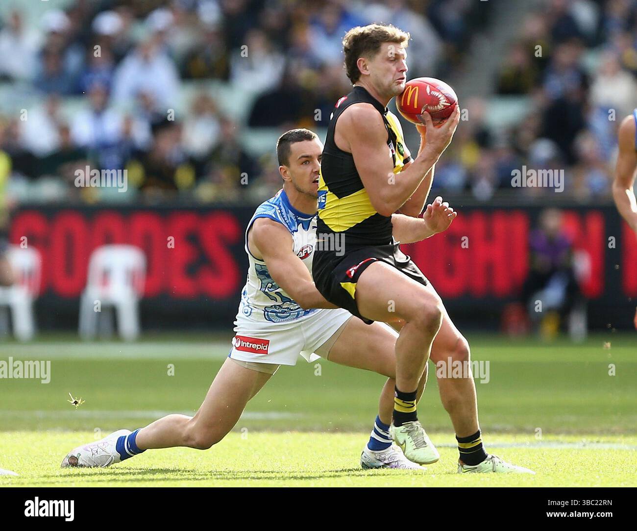 Melbourne, Australia. 18th May, 2025. Jacob Hopper of the Tigers ...