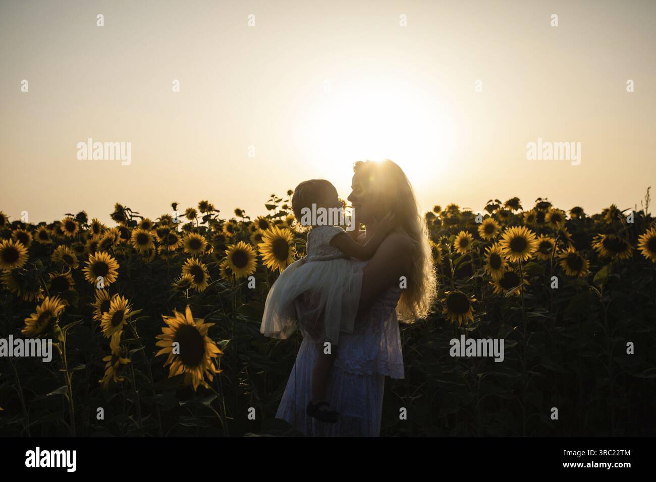 Happy mother hugs her daughter in a sunflower field, white clothes ...