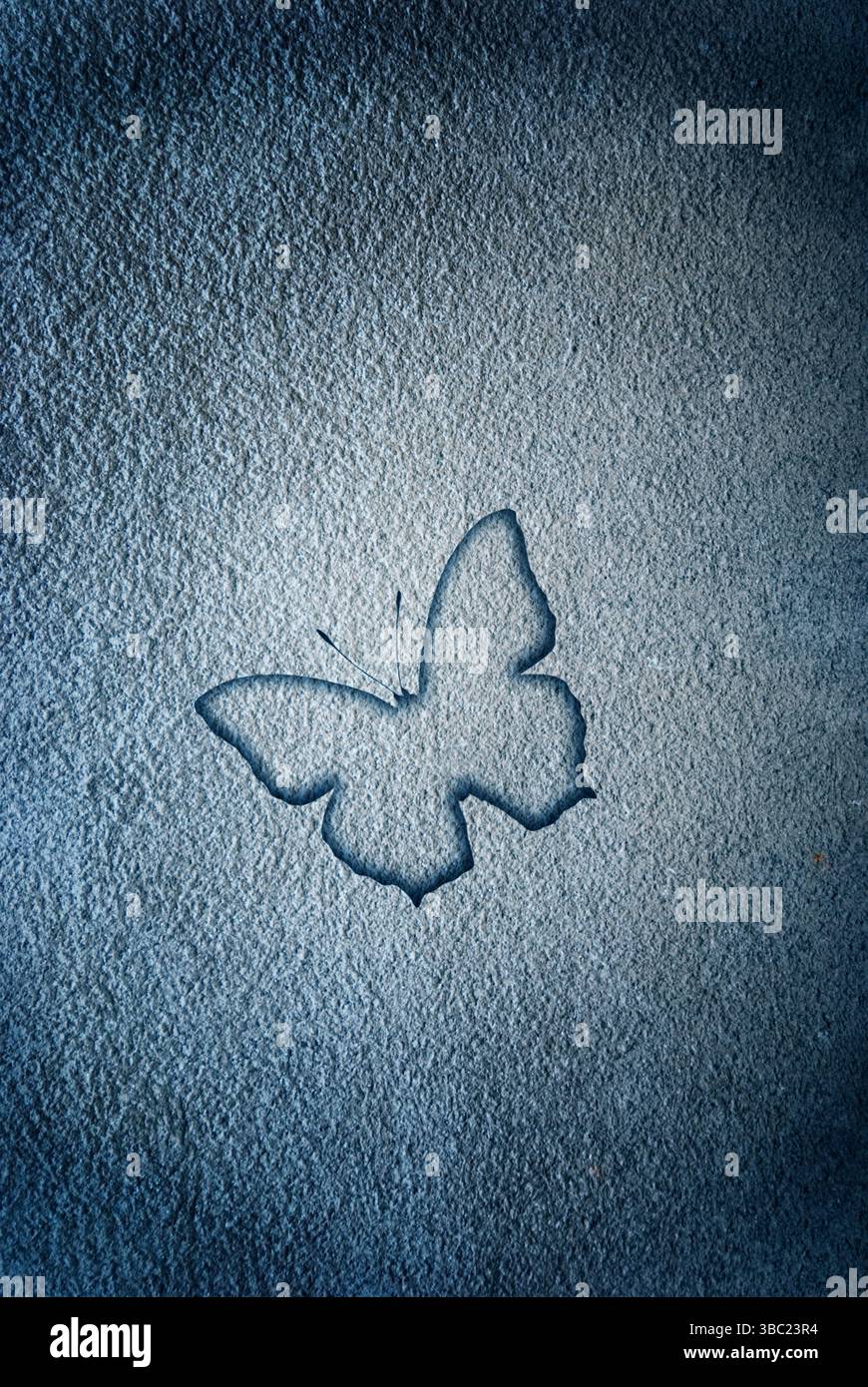 Conceptual butterfly hi-res stock photography and images - Alamy