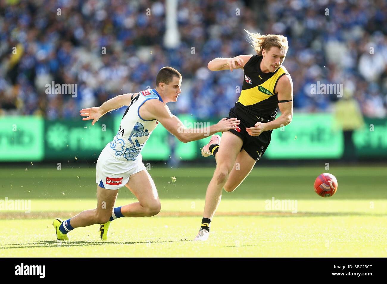 Melbourne, Australia. 18th May, 2025. Hugo Ralphsmith of the Tigers ...