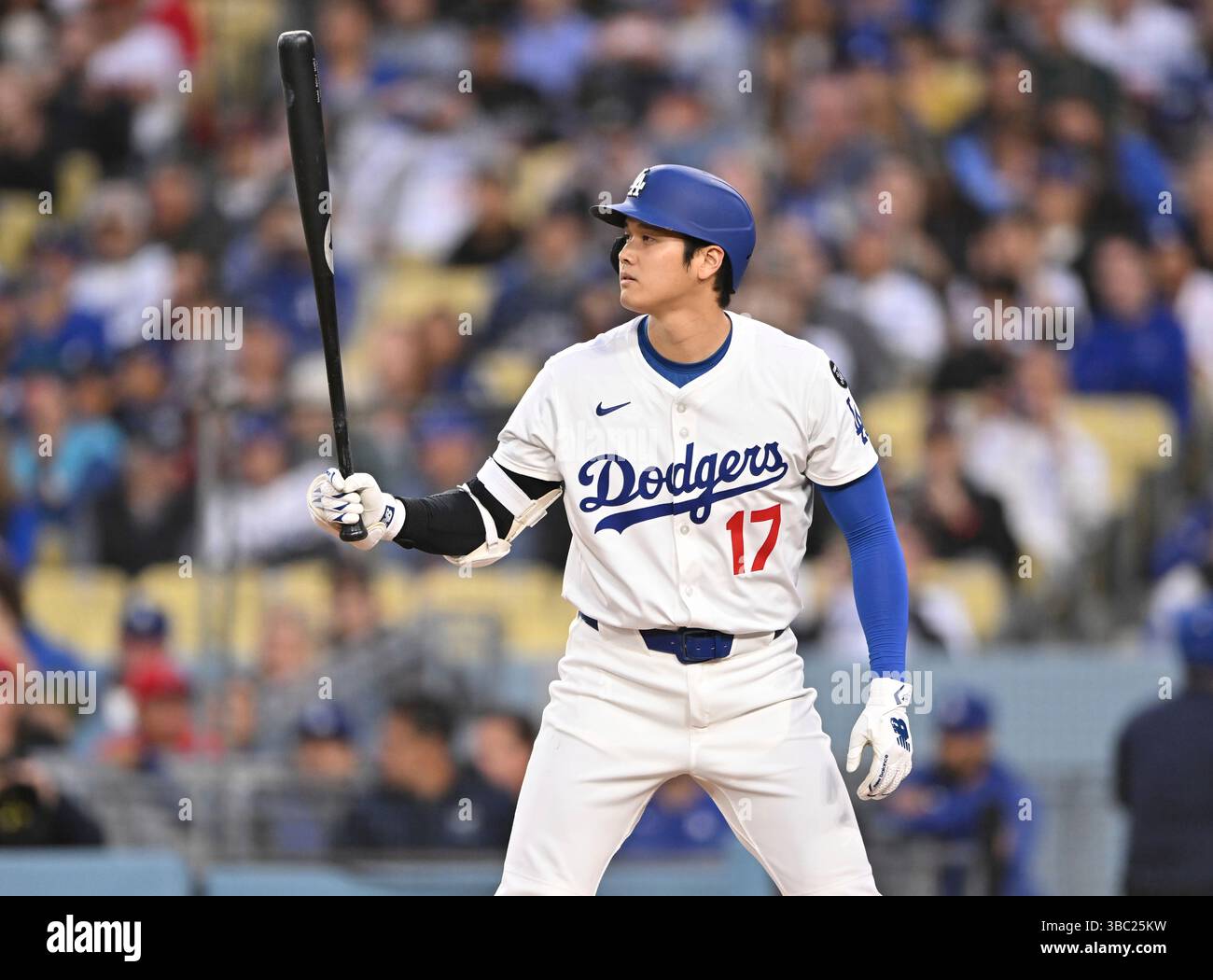 LOS ANGELES, CA - MAY 17: Los Angeles Dodgers two-way player Shohei ...