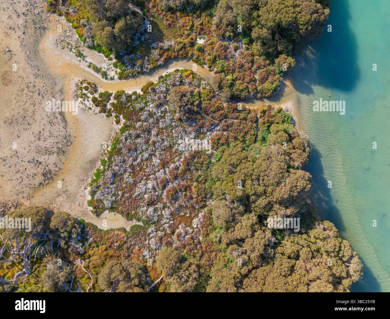 Aerial view of water channels draing through hardy vegetation in a ...