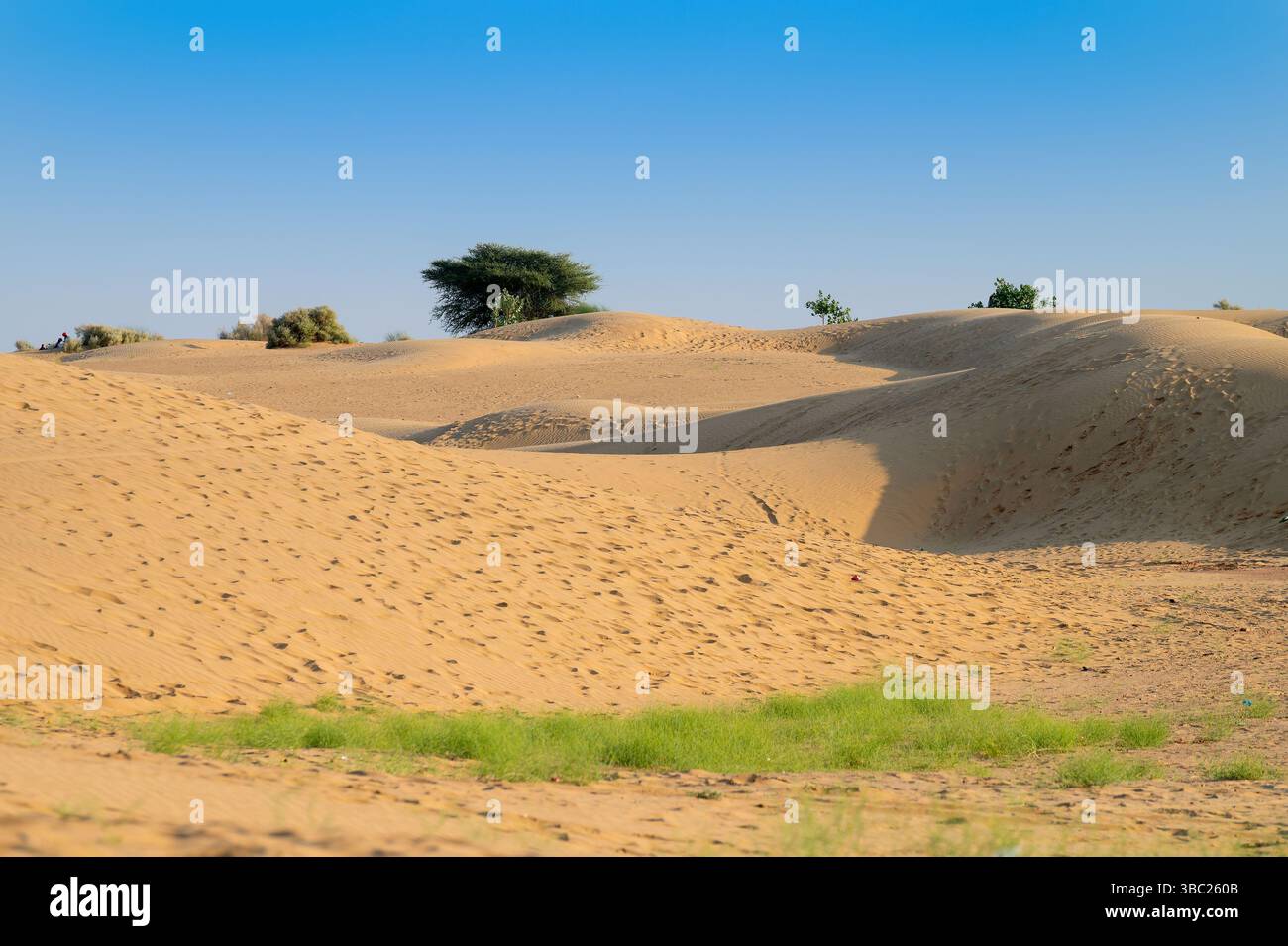 Thar desert. Barren land , sand dunes of Jaisalmer, Rajasthan, India ...