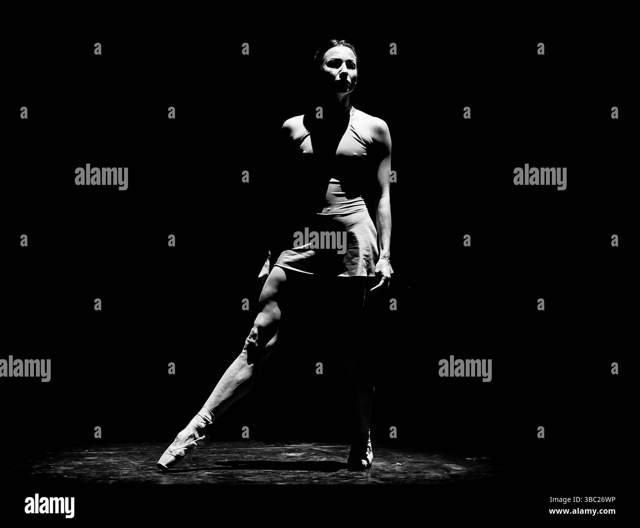 bright and fascinating emotions of ballet dancers' performances with ...