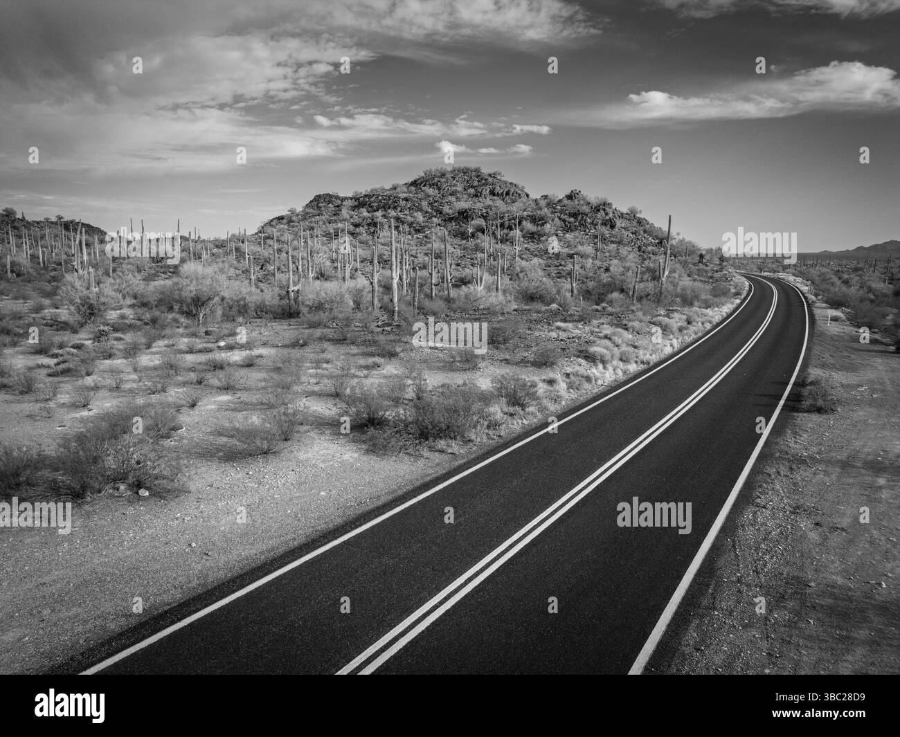 Arizona cactus car Black and White Stock Photos & Images - Alamy