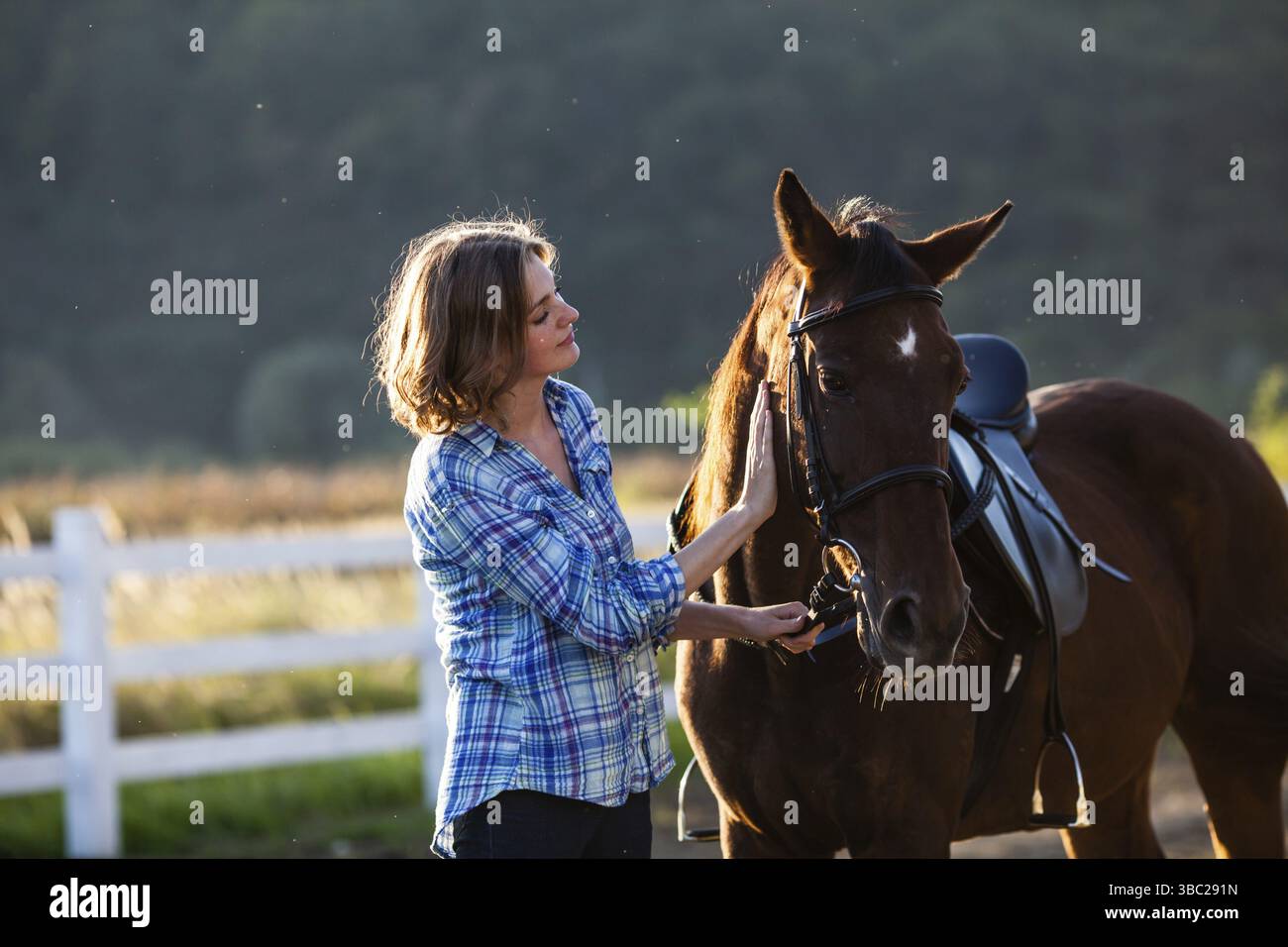Beautiful girl leading her brown horse at the farm Stock Photo - Alamy