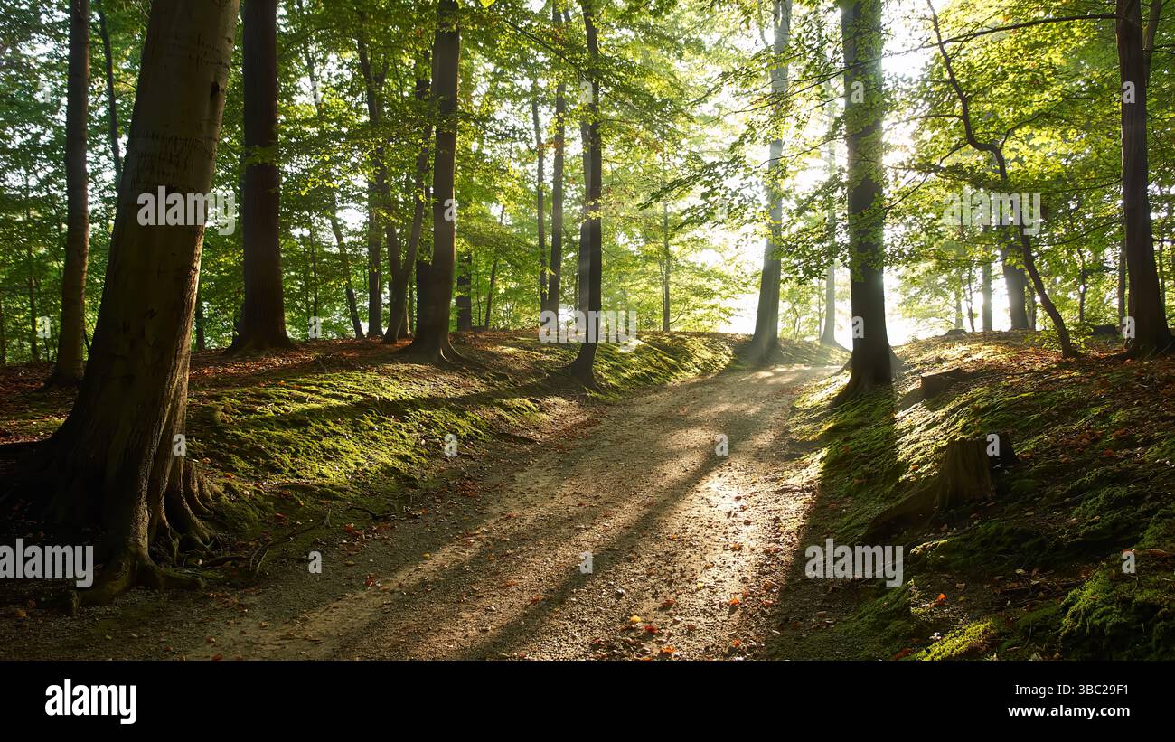 Morning sun trail hi-res stock photography and images - Alamy