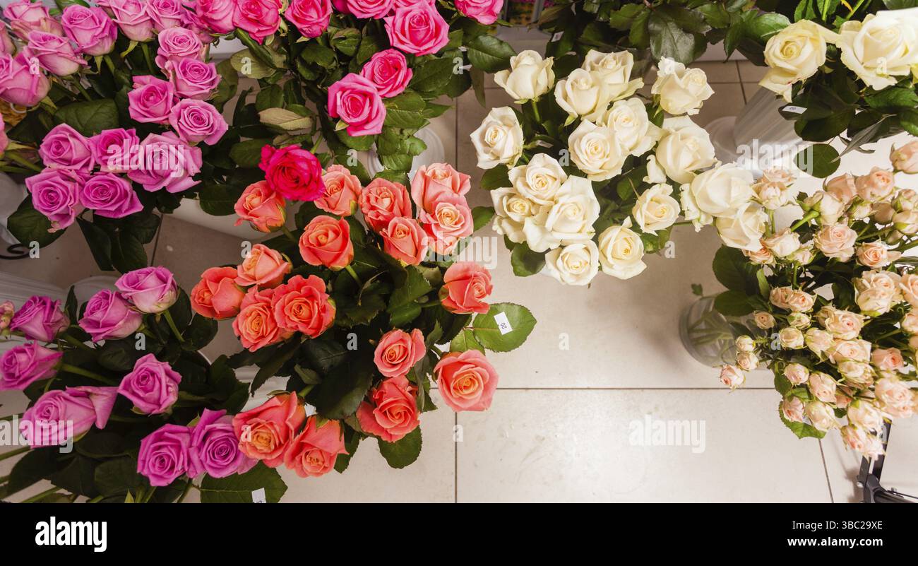 Collection of beautiful roses for sale at a floristic shop Stock Photo ...