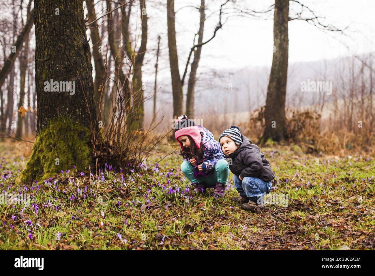 Children in the park watching the spring flowers on a cloudy rainy day ...