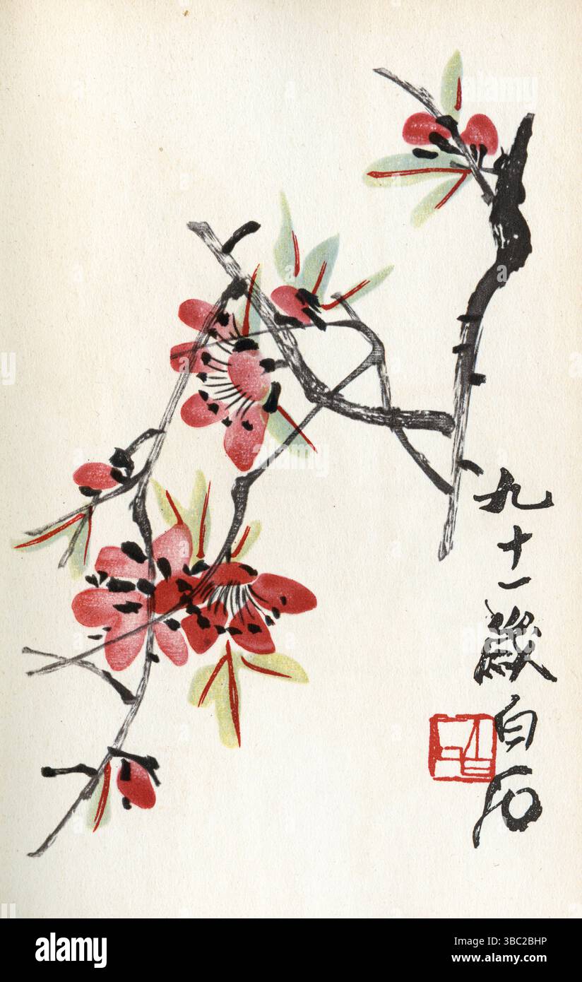 Begonia flowers, Chinese painting by Qi Baishi, published in 1959 Stock ...