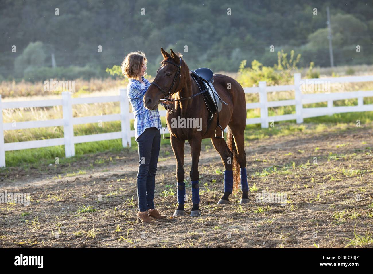 Beautiful girl leading her brown horse at the farm Stock Photo - Alamy