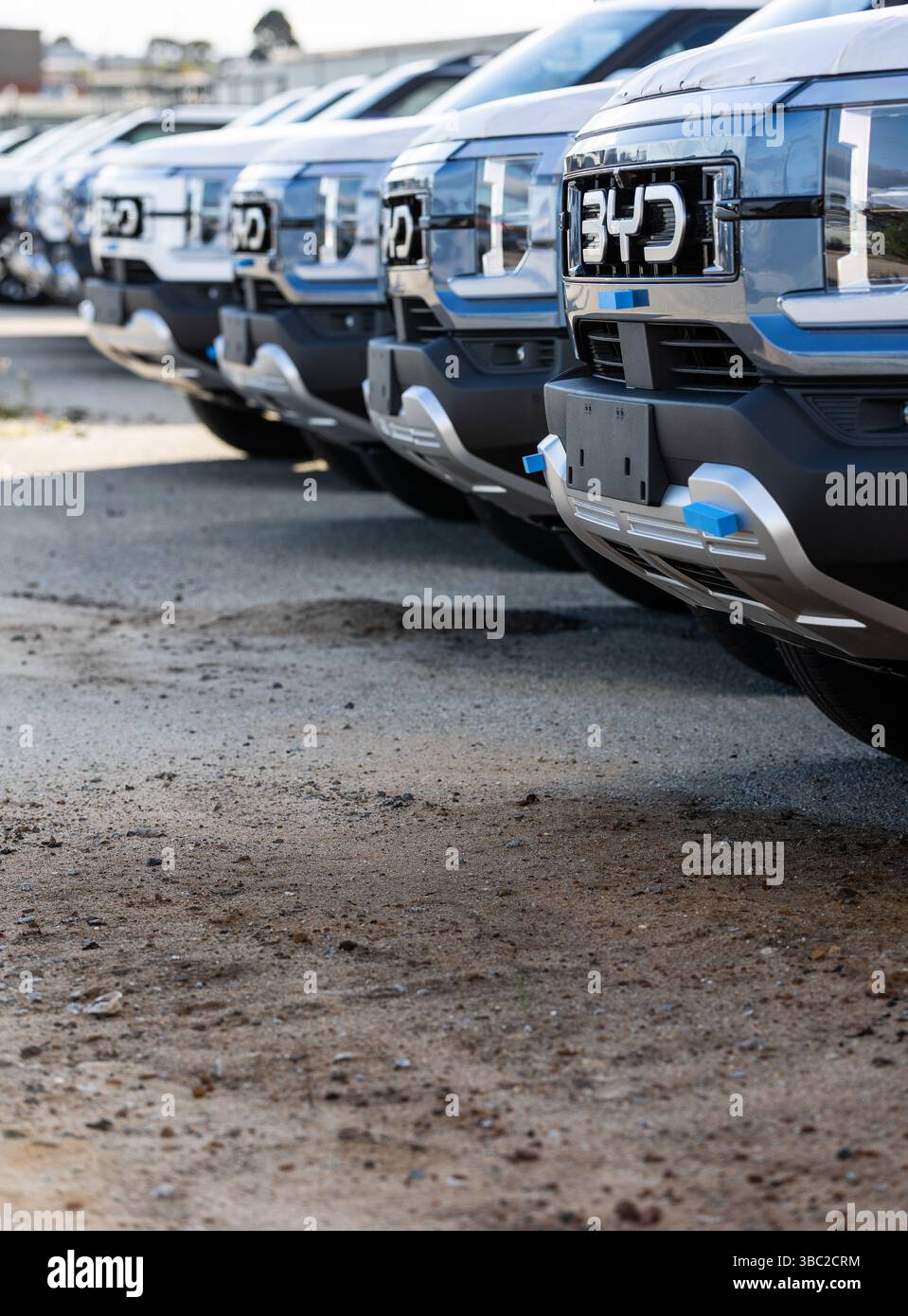 Byd shark 6 hi-res stock photography and images - Alamy