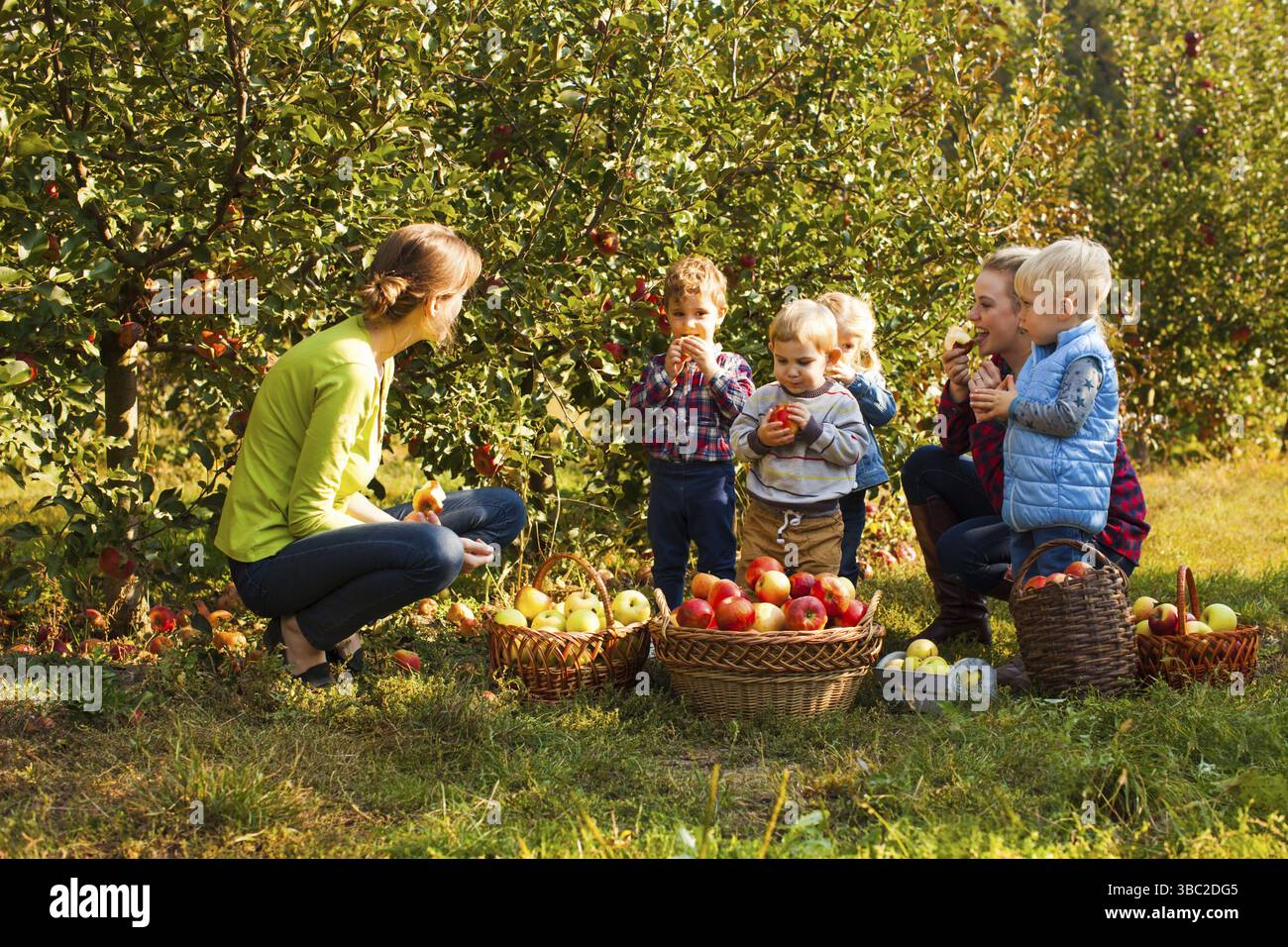 Fruits for preschoolers hi-res stock photography and images - Alamy