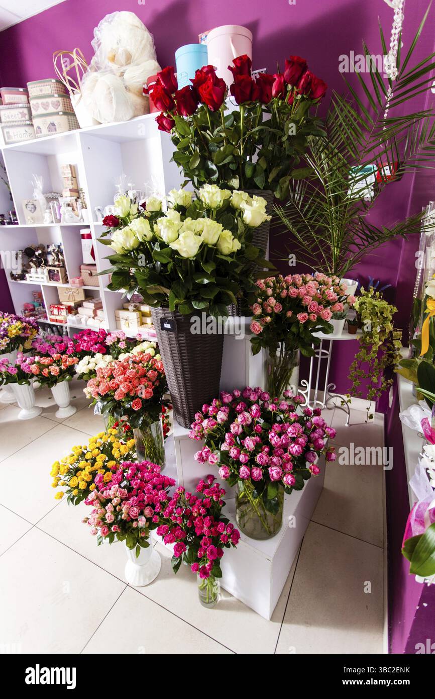 Collection of beautiful roses for sale at a floristic shop Stock Photo ...