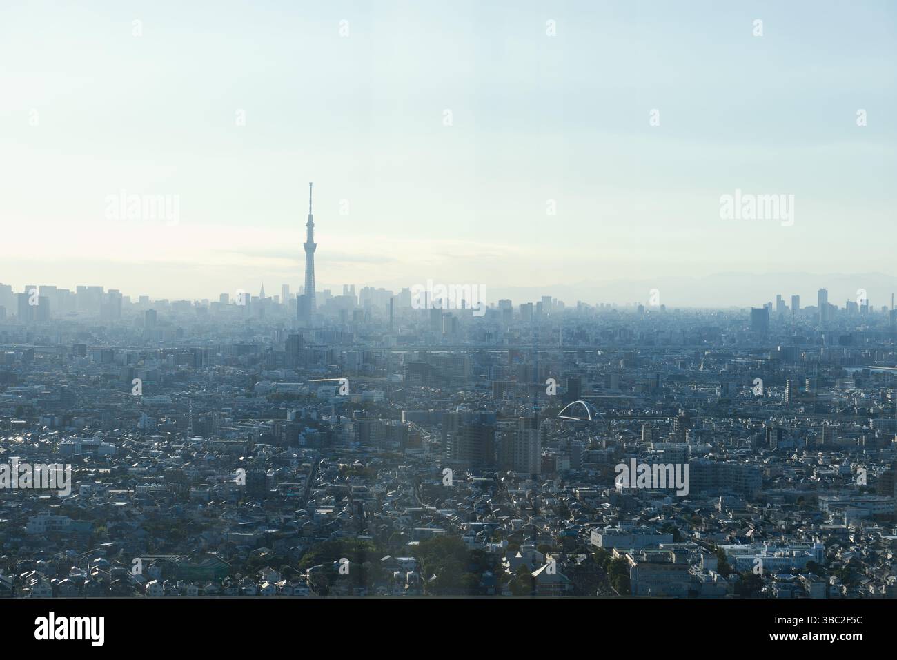 Tokyo Sky Tree and Tokyo cityscape view from the Ichikawa I-link town ...