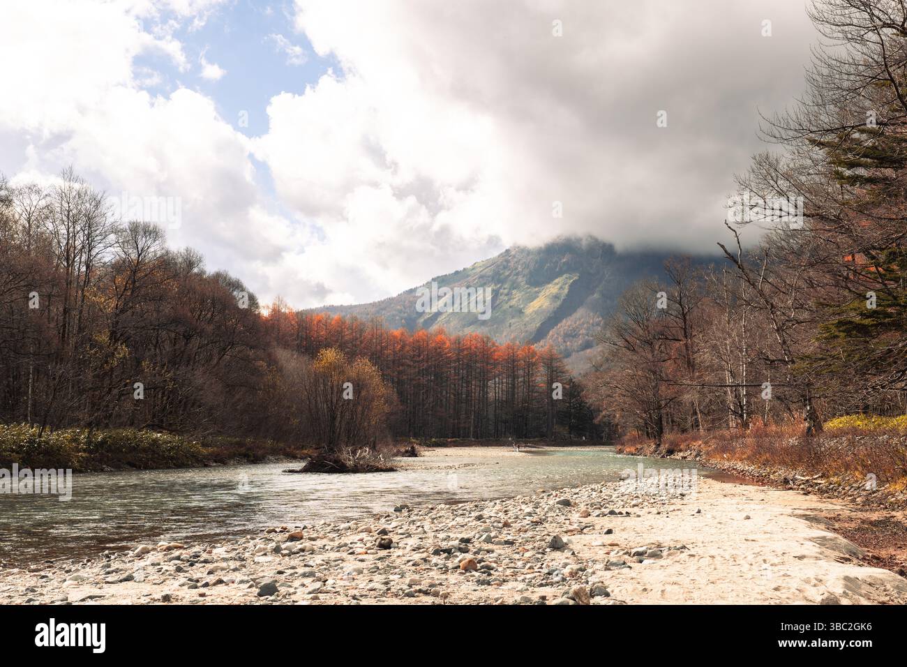 Clear Azusa river water and pine trees in Kamikochi national park in ...