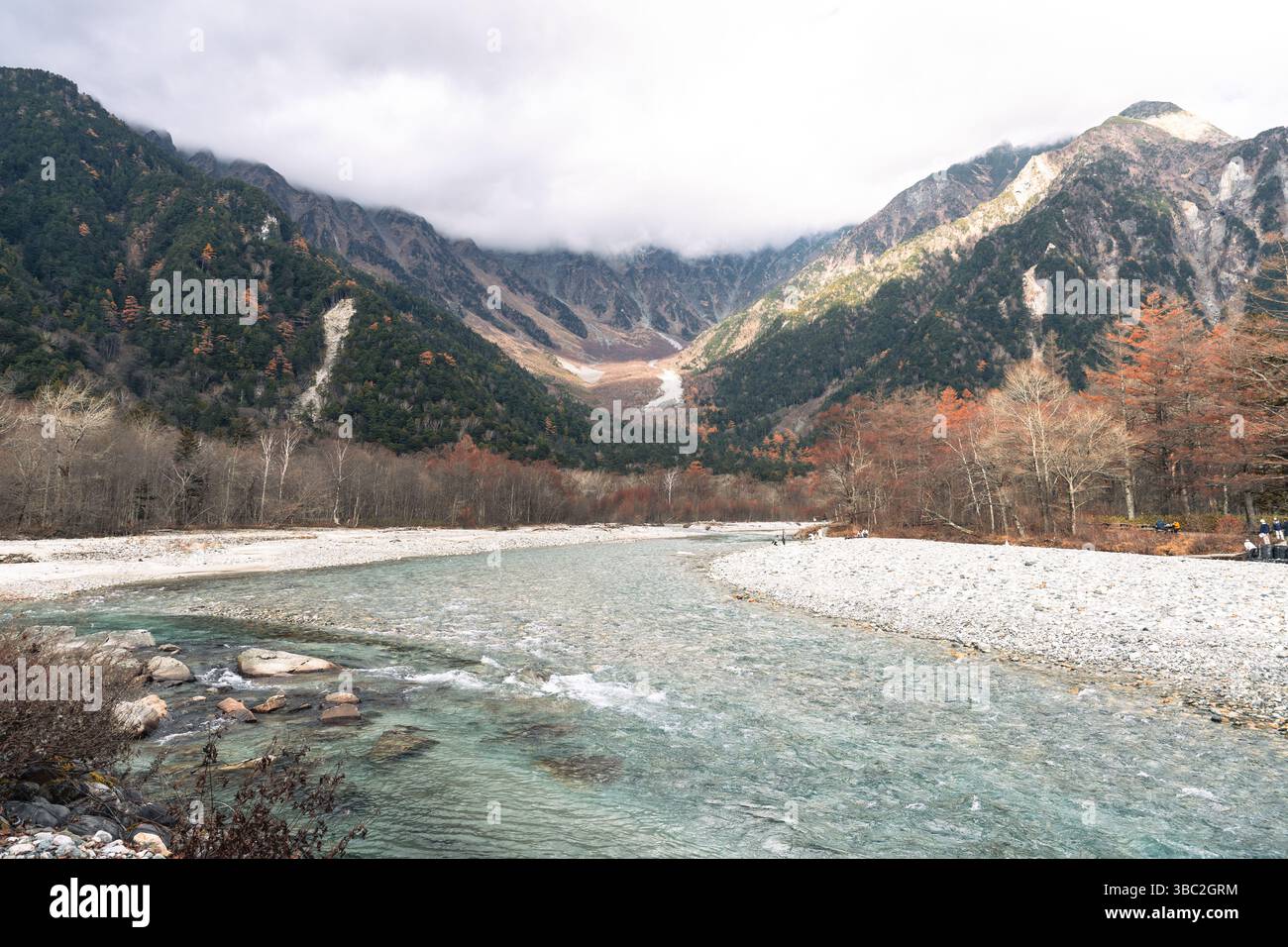Clear Azusa river water and pine trees in Kamikochi national park in ...