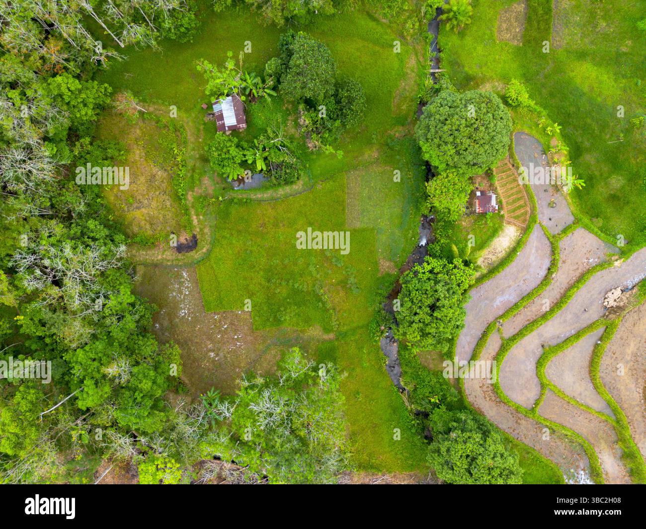 Aerial photo showing the contrast between natural green forest and ...