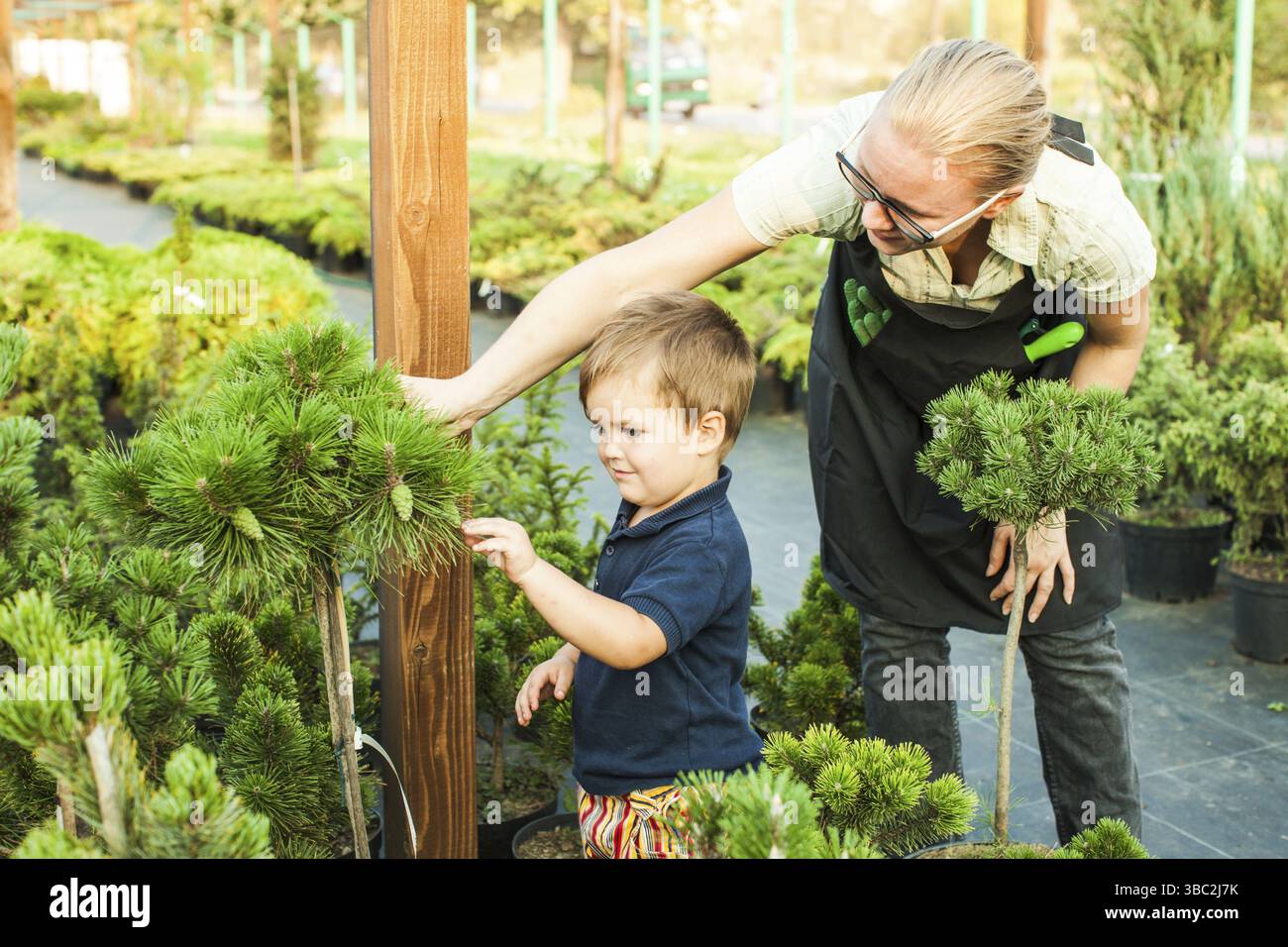 Florist shows the boy different bushes in the greenhouse, preschooler ...