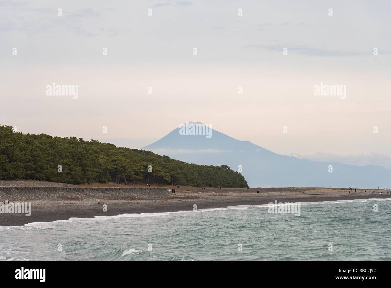 View of Miho no Matsubara beach with mt Fuji Stock Photo - Alamy