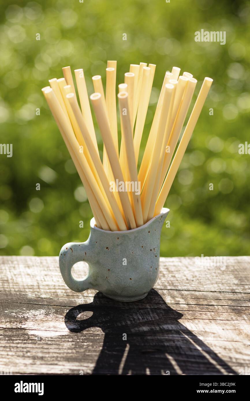 Biodegradable compostable natural straws, made from cane. Zero waste ...