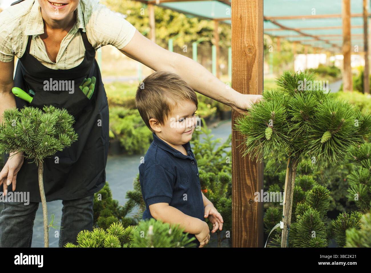Florist shows the boy different bushes in the greenhouse, preschooler ...