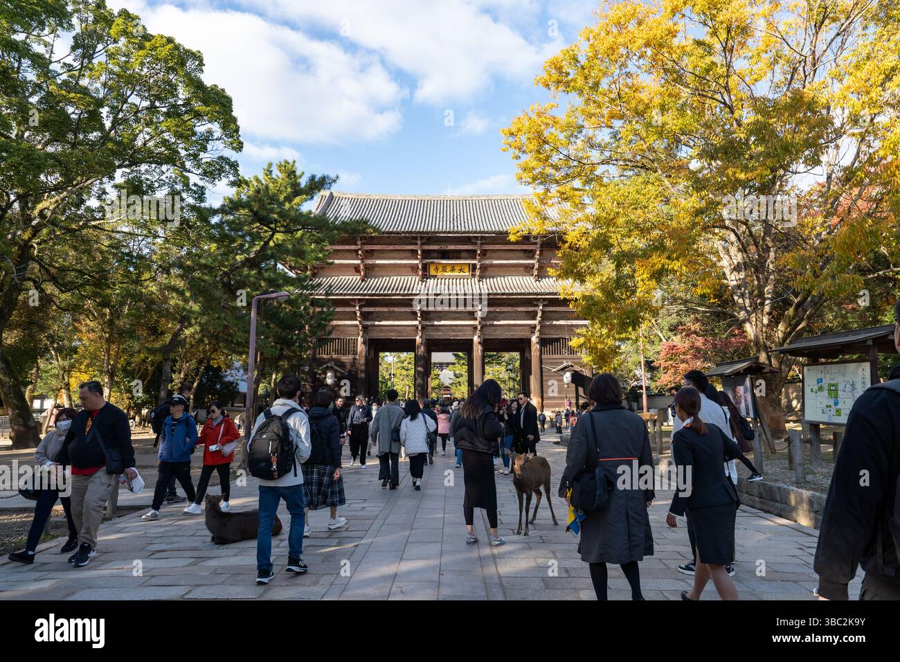 Todai ji namdaimon hi-res stock photography and images - Alamy