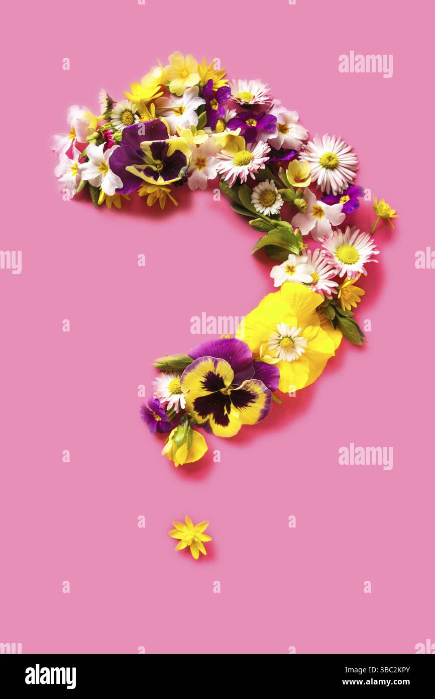 The question mark of wild flowers on the pink background Stock Photo ...