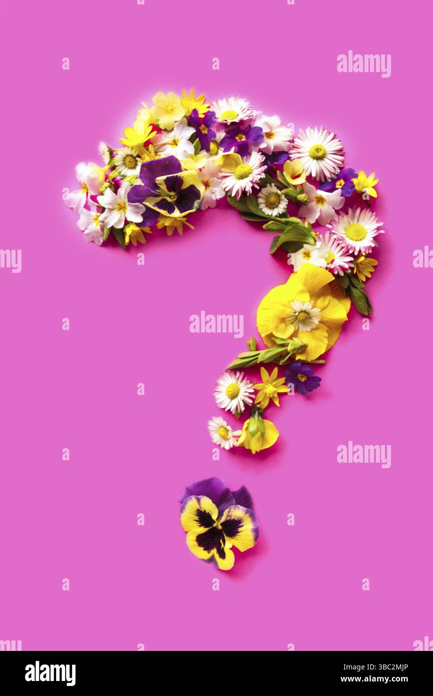The question mark of wild flowers on the pink background Stock Photo ...