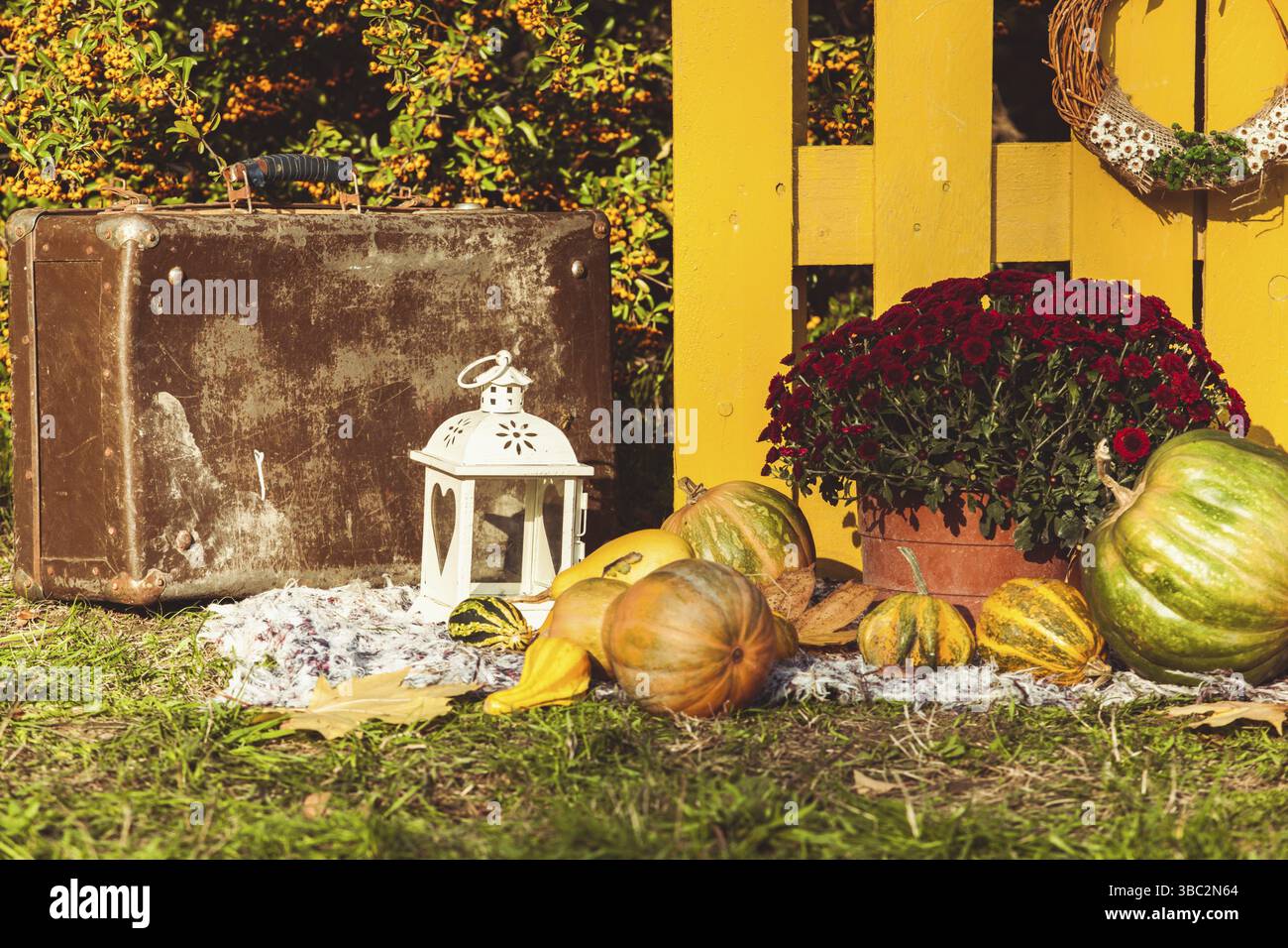 Autumn harvest festival - basket with autumn fruits, old suitcase ...