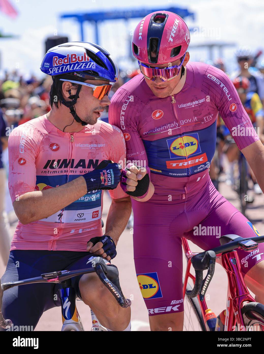 Primoz ROGLIC, Red Bull - BORA - hansgrohe and Mads PEDERSEN, Lidl ...