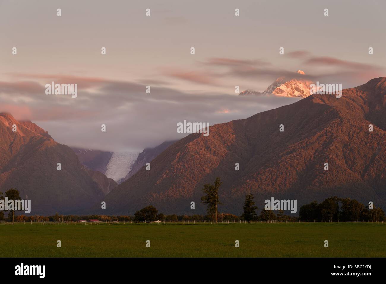 Fox Glacier and Mt Tasman at sunset. West Coast. South Island. New ...