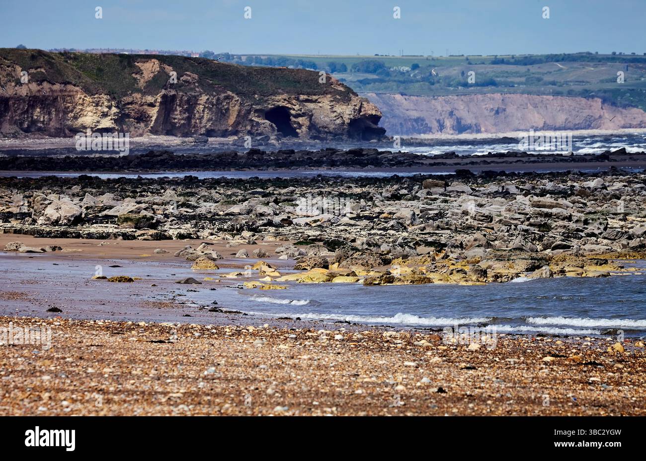 Blackhall Rocks at low tide looking north Stock Photo - Alamy