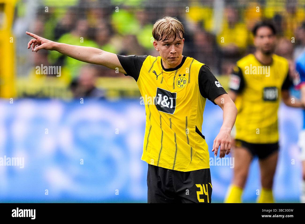 Holstein kiel gestures hi-res stock photography and images - Alamy