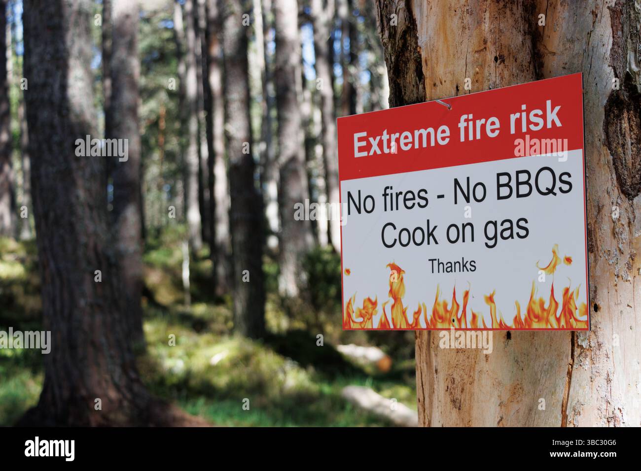 Extreme fire risk sign nailed to tree in woodland during drought Stock ...