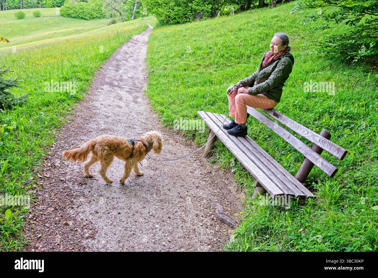 Pause für beide. Die Frau mit ihrem Hund machen einen Halt an der ...