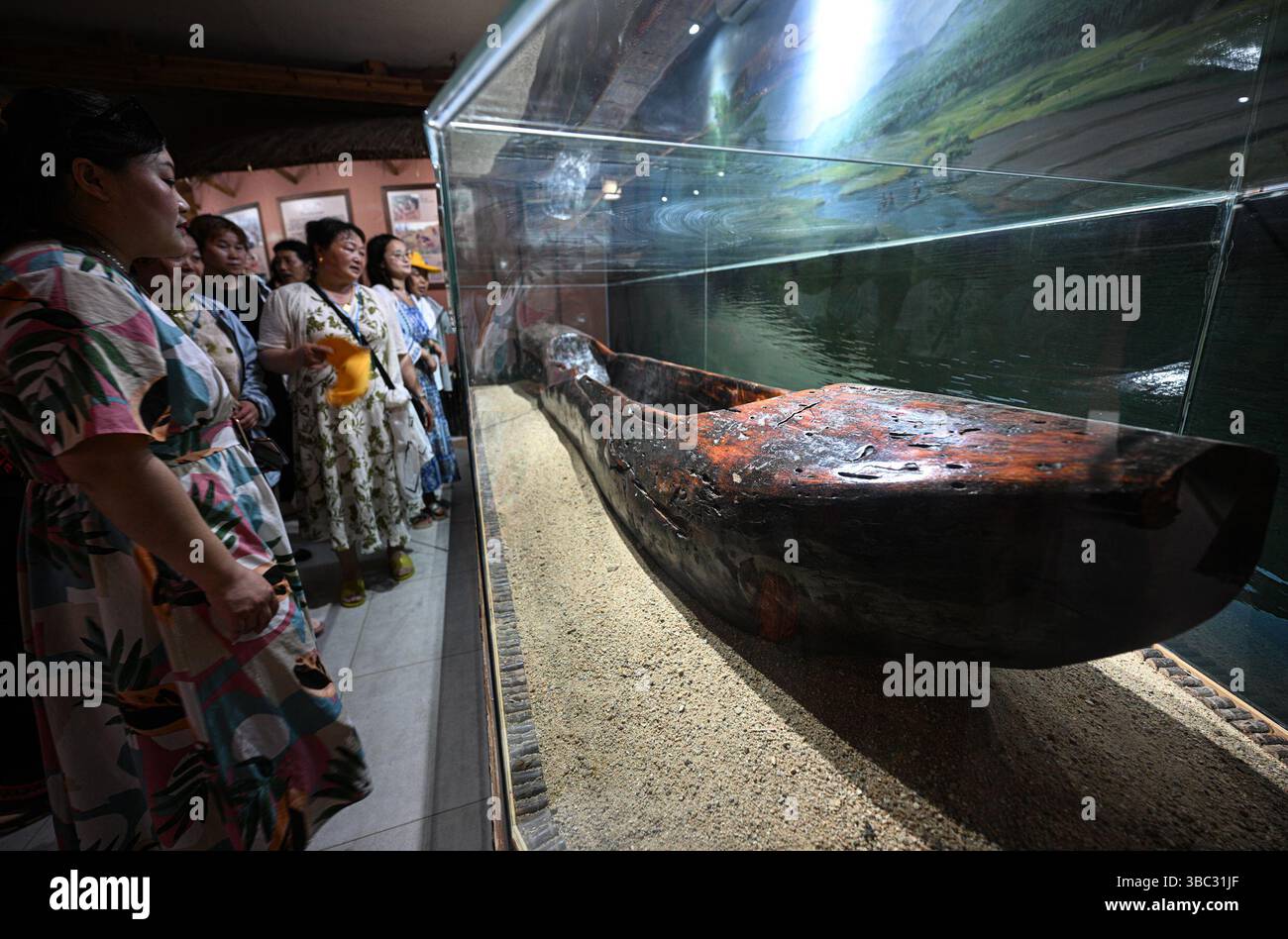 Haikou, China's Hainan Province. 15th May, 2025. Visitors look at a ...