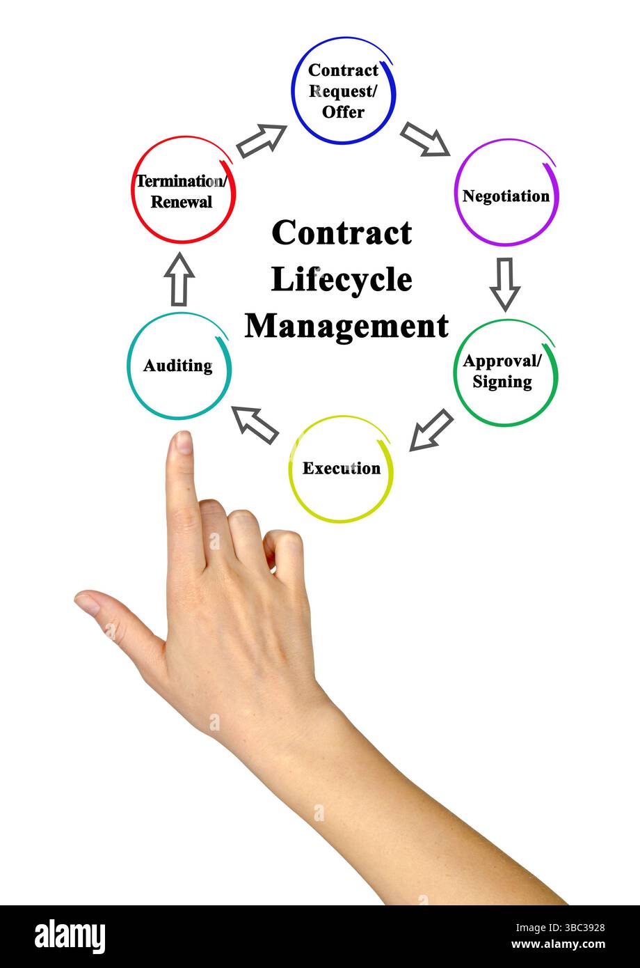 Woman Presenting Contract Lifecycle Management Stock Photo - Alamy