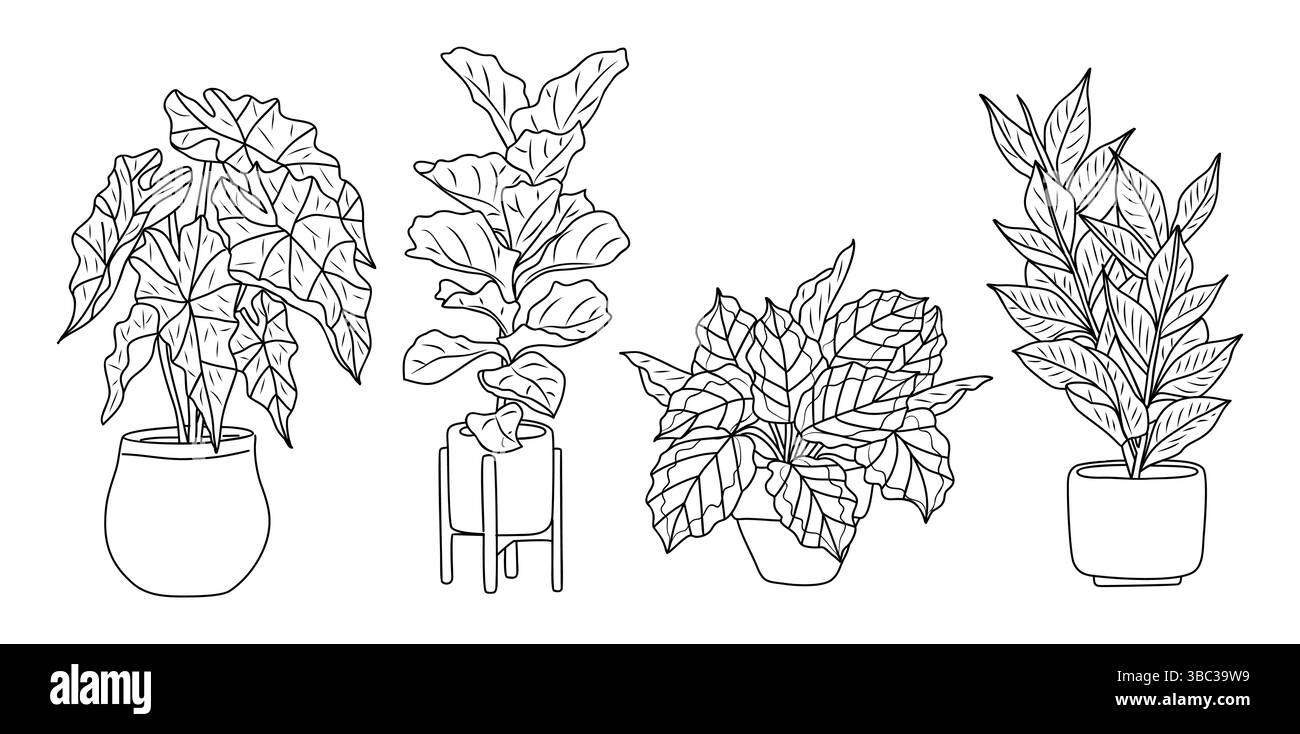 Set of potted House plants outline drawings Stock Vector Image & Art ...