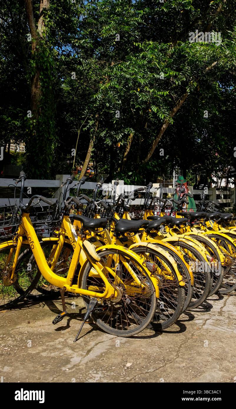 Bike rental close up hi-res stock photography and images - Alamy