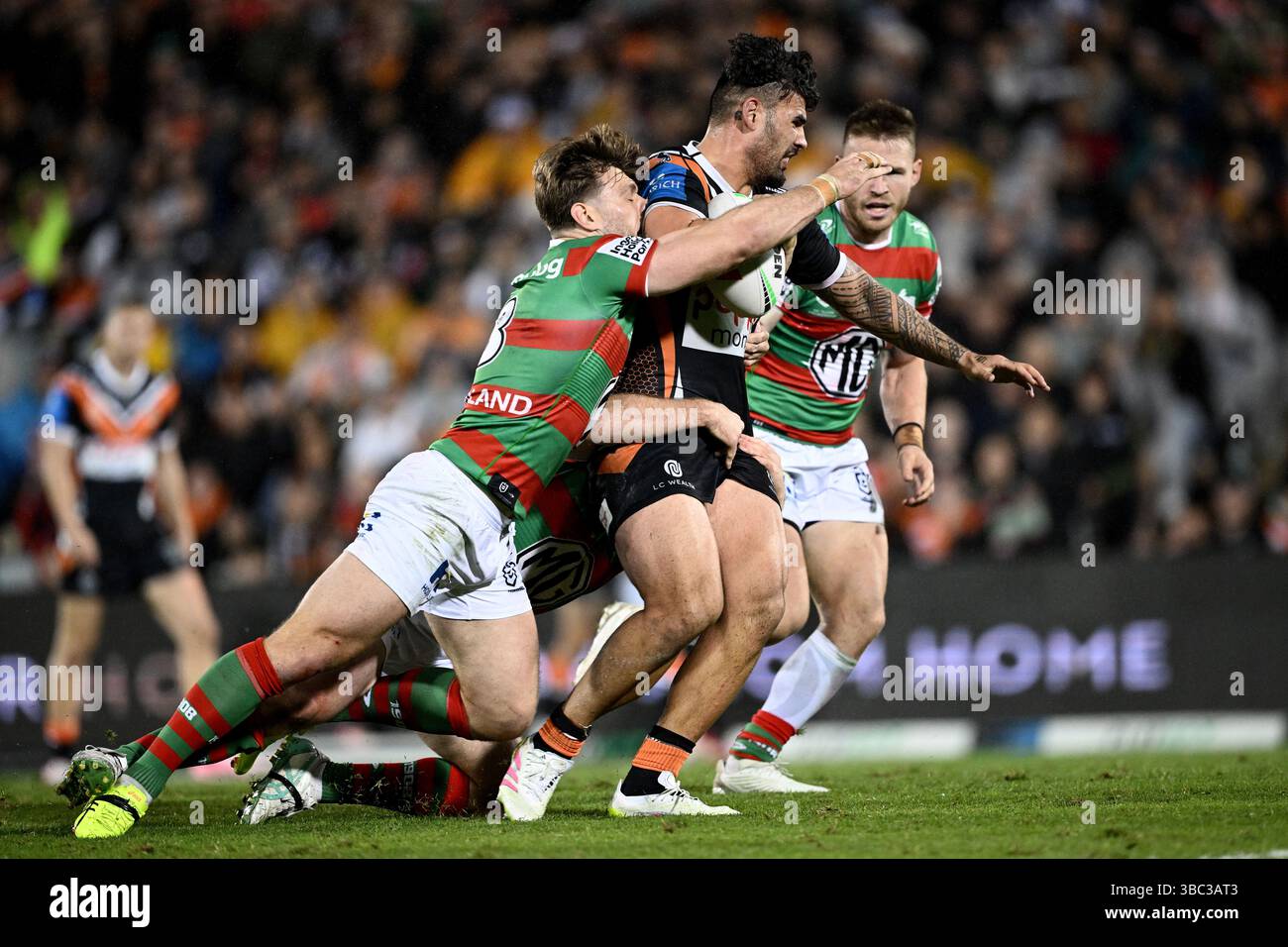 Sydney, Australia. 18th May, 2025. Terrell May of the Tigers is tackled ...
