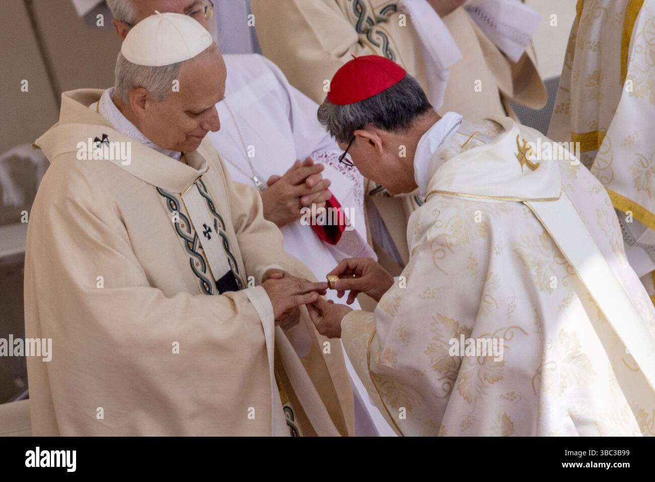 Vatikanstadt, Vatican. 18th May, 2025. Cardinal Luis Antonio Tagle (r ...
