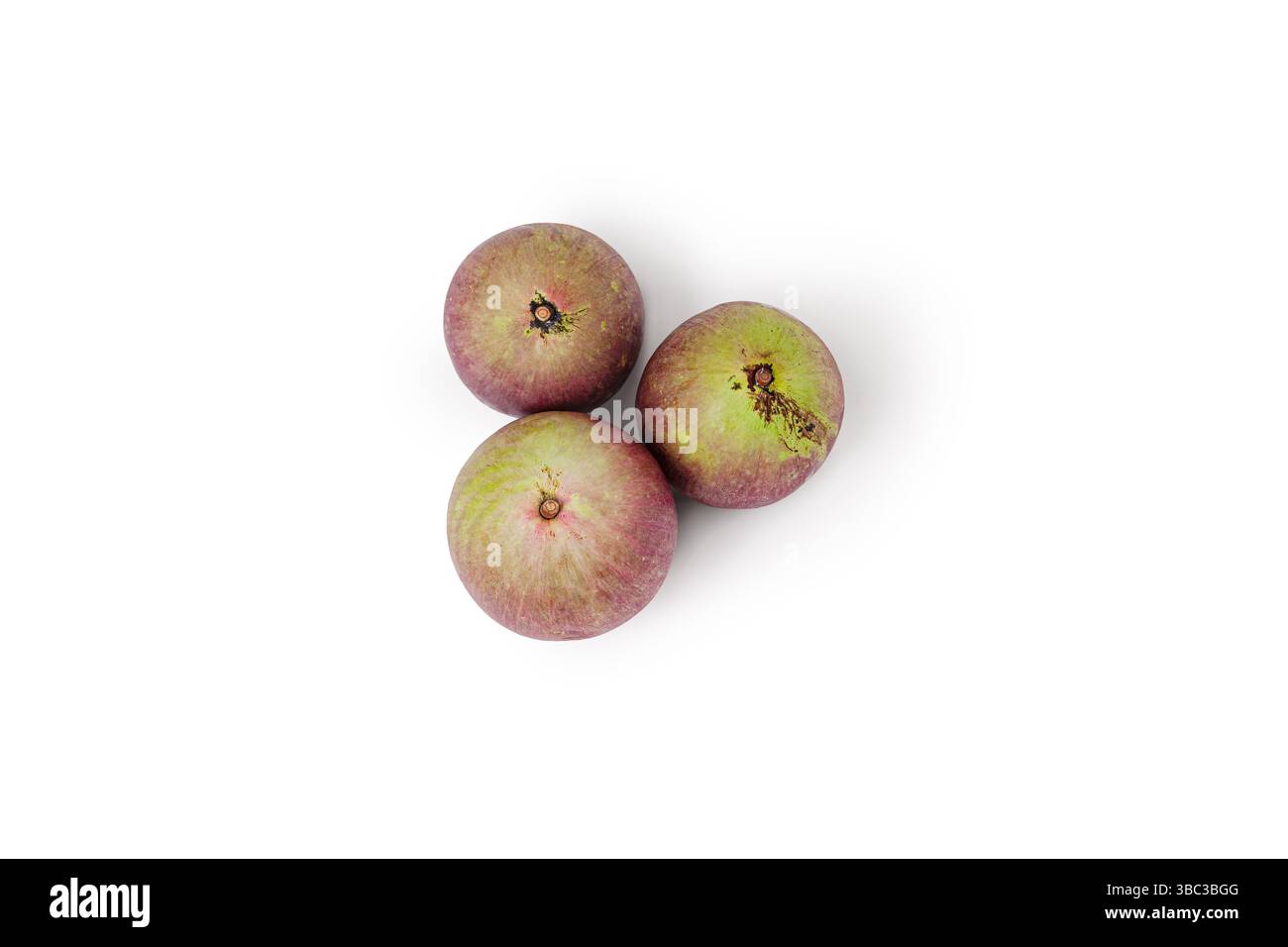 Three fresh star apples with purple and green hues are isolated on ...
