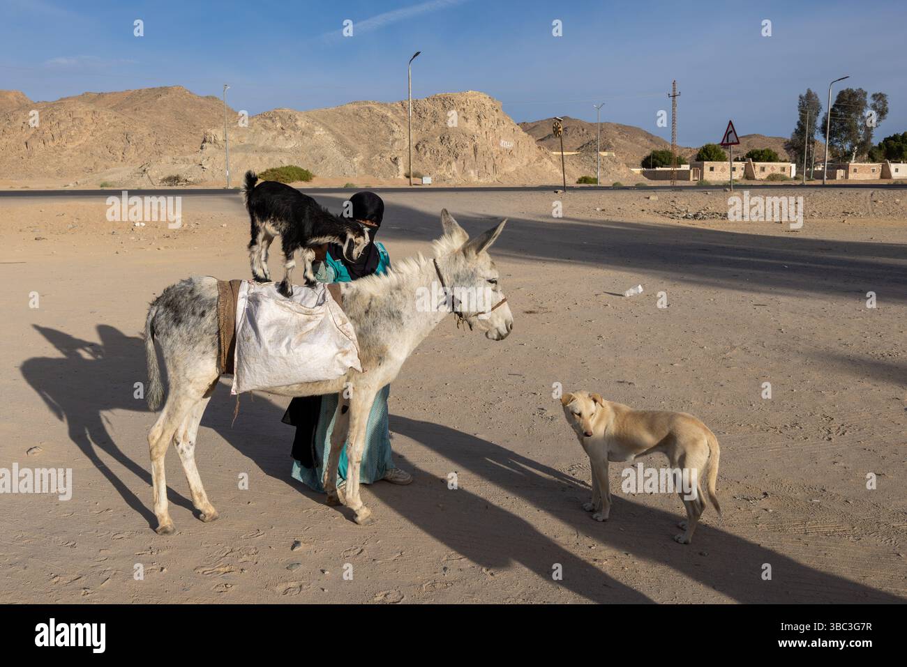 In the parking lot on the road to Luxor stands a girl who, for a small ...