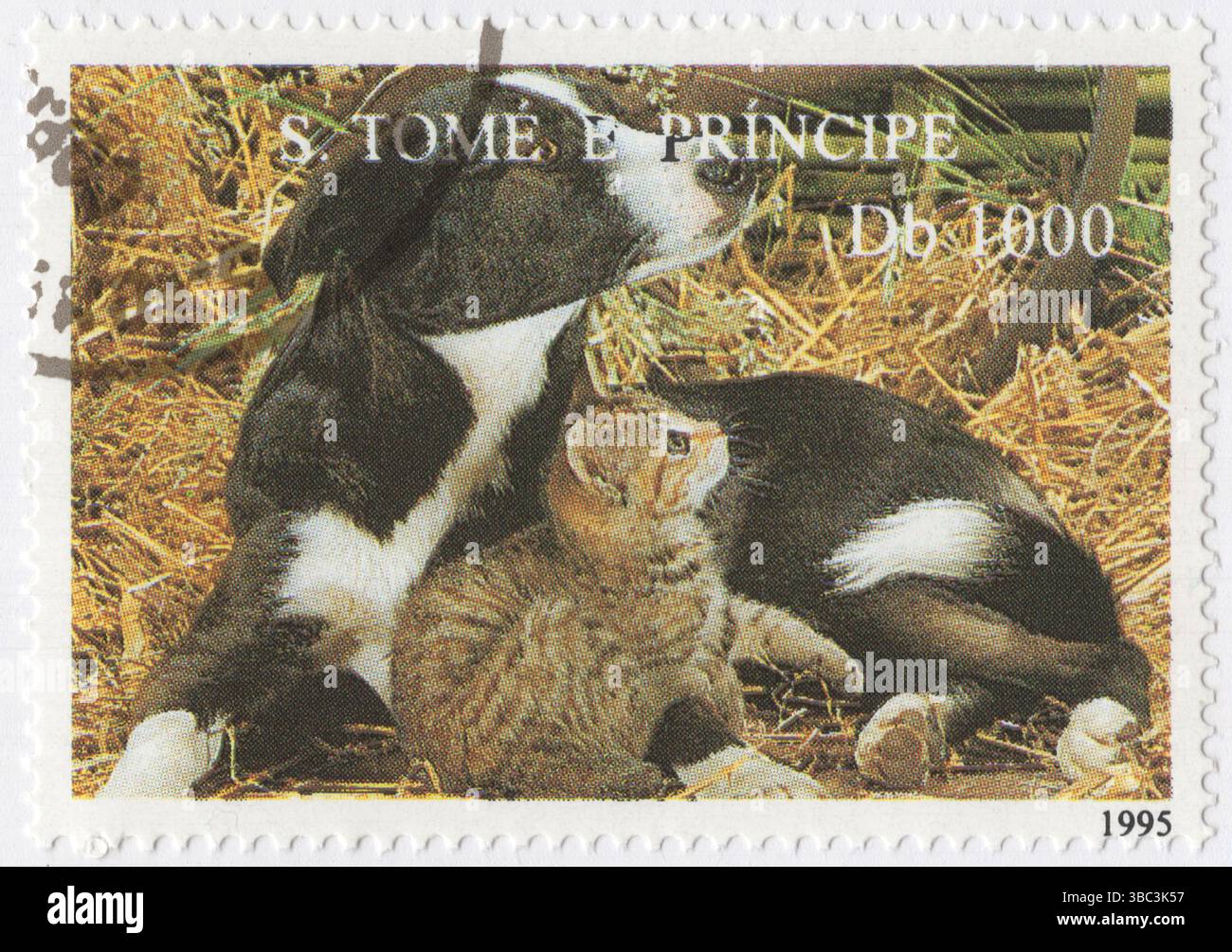 ST. THOMAS AND PRINCE ISLANDS - 1995 August 12: 1000 dobra multicolored ...