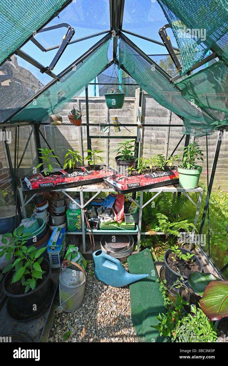 Small house in glass hi-res stock photography and images - Alamy