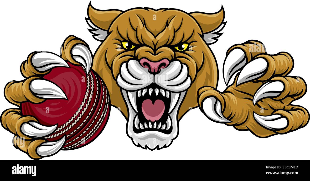 Cougar Panther Mountain Lion Puma Cricket Mascot Stock Vector Image ...
