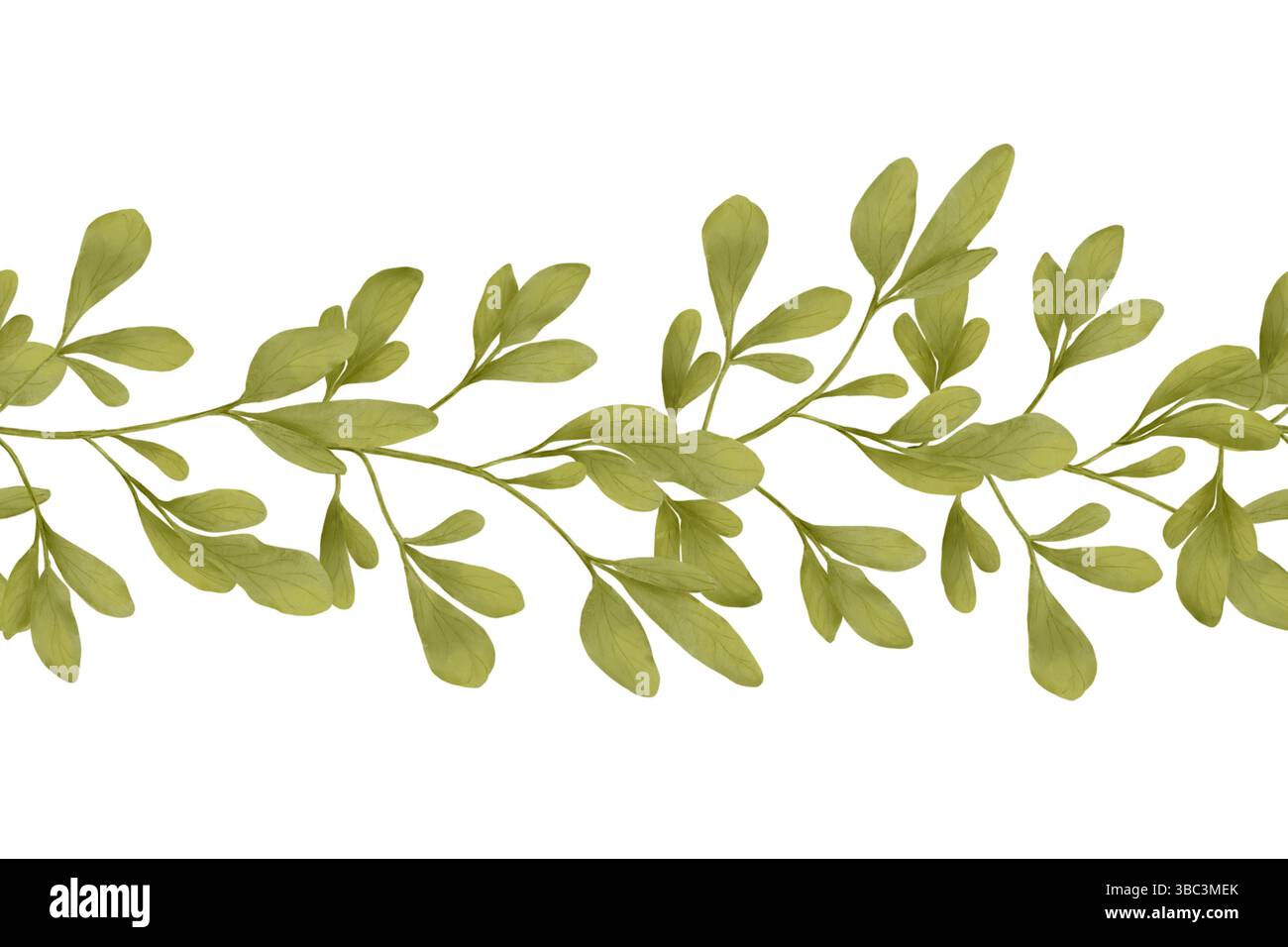 Cute green leaves on a twig. Watercolor illustration. Seamless ...